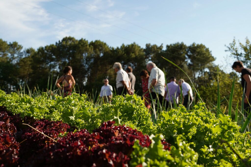 L'avenir est dans le pré - Agriculture CDC du Bazadais
